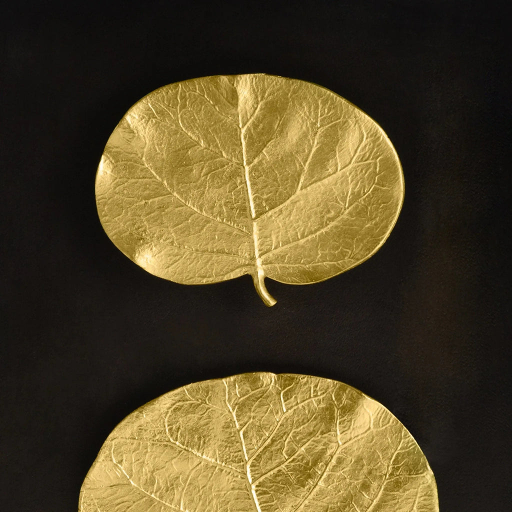Botanical Leaf Shadow Box – Michael Aram