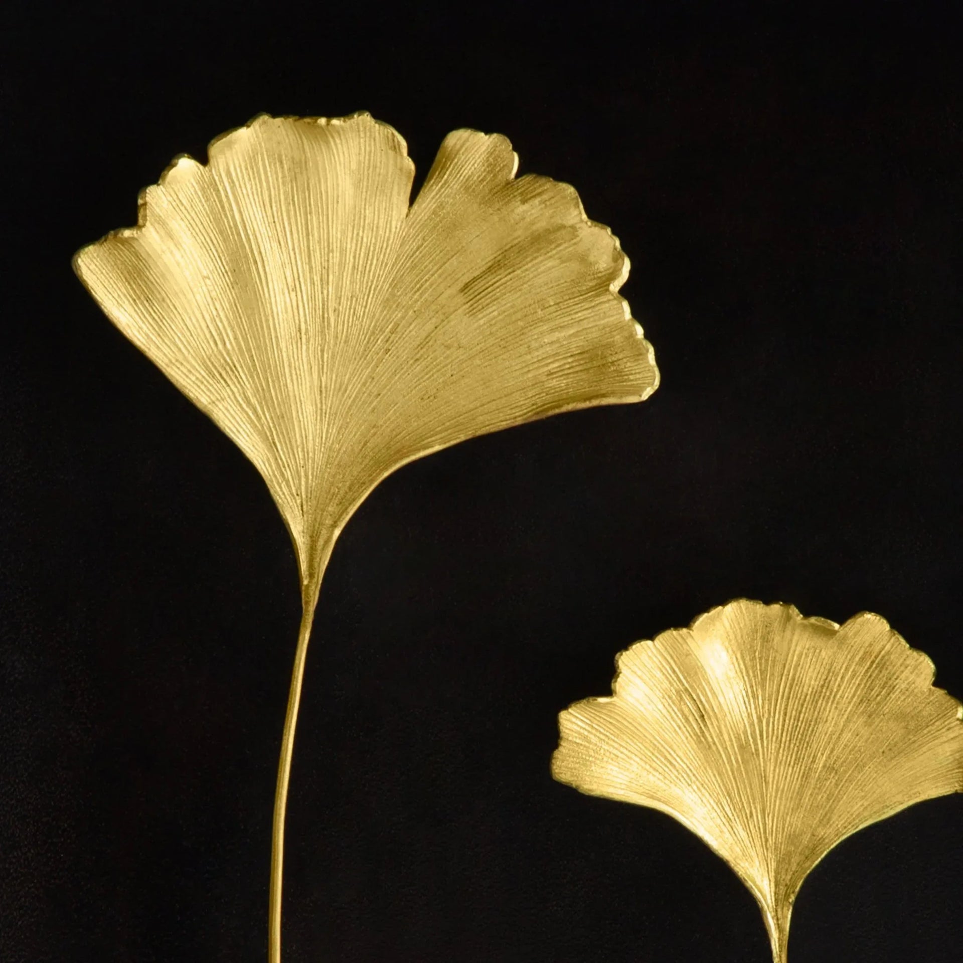 Ginkgo Leaf Shadow Box – Michael Aram